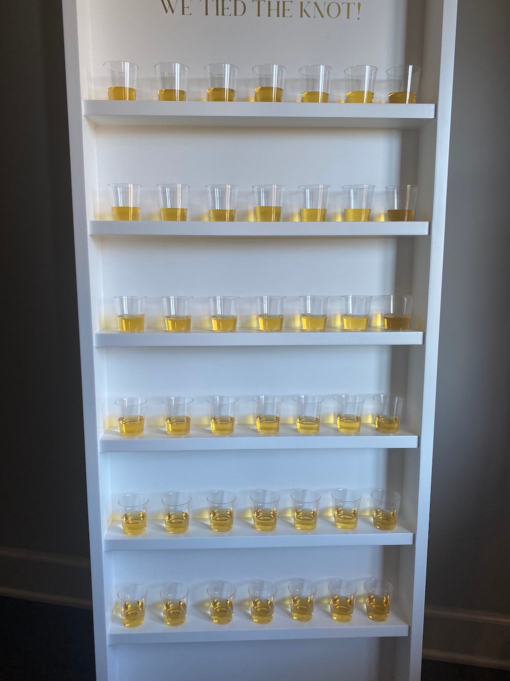 Shot Wall With Stand - Holds up to 48 Shot Glasses - Shot Holder - Shot ...