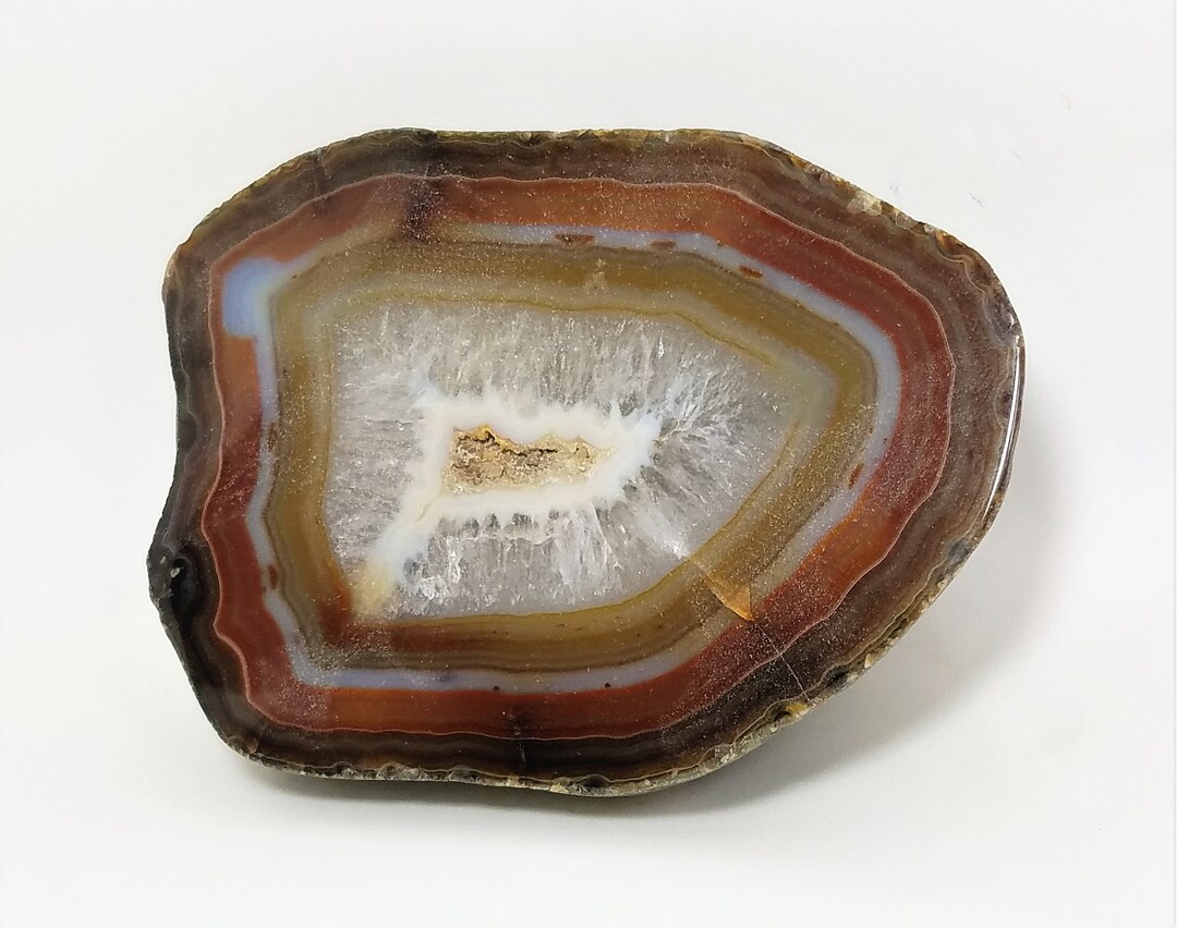 Brazilian Agate Geode Rocks and Minerals Rock Slices Display Rock - Etsy