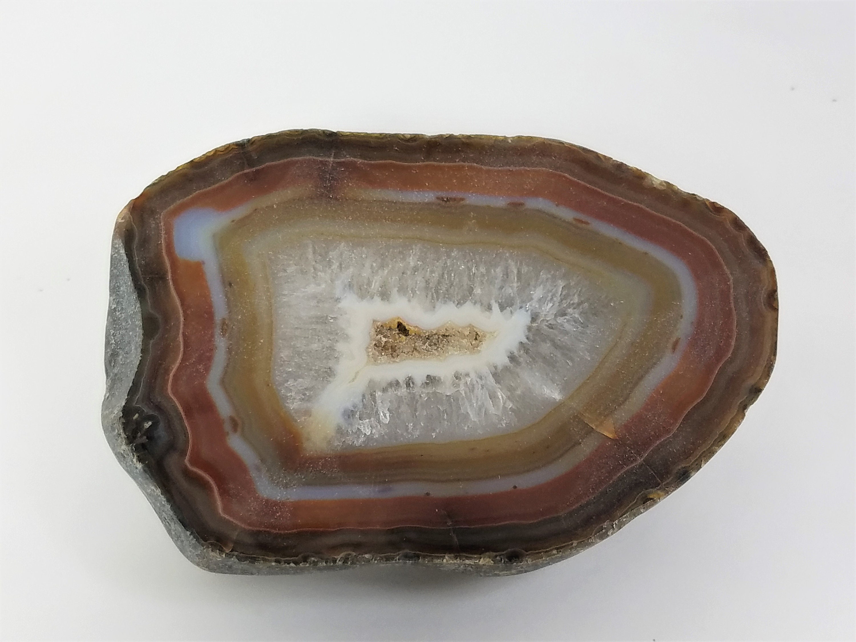 Brazilian Agate Geode Rocks and Minerals Rock Slices Display | Etsy