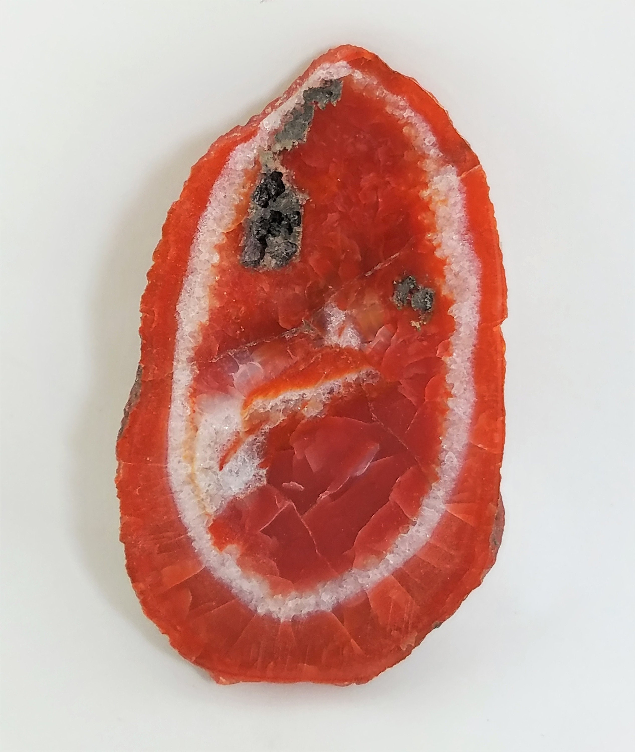 Australian Agate Nodule Rocks and Minerals Collector Rock | Etsy