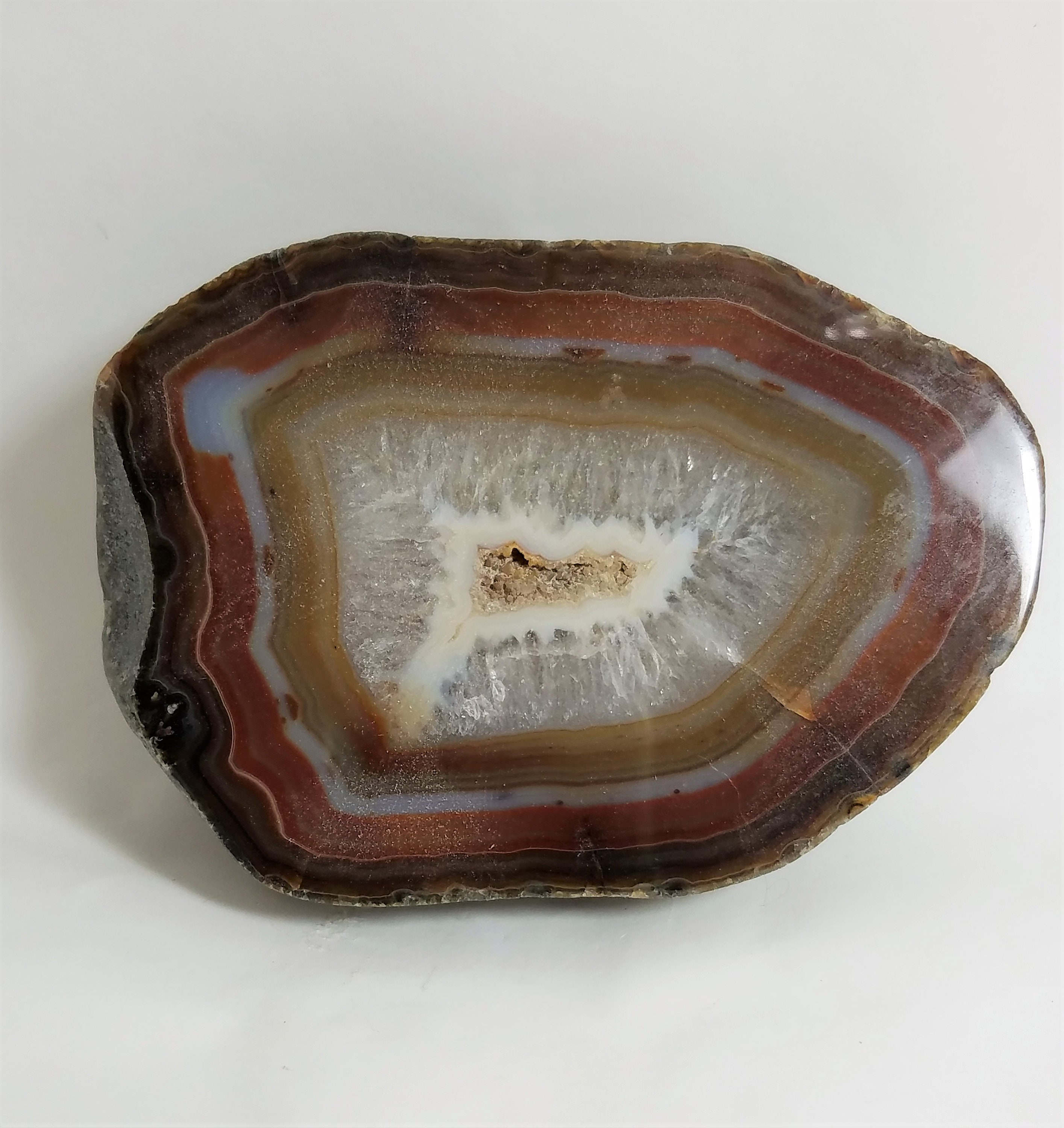 Brazilian Agate Geode Rocks and Minerals Rock Slices Display | Etsy