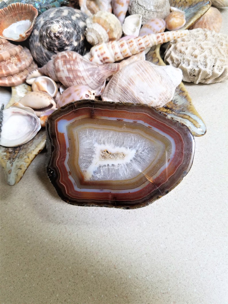 Brazilian Agate Geode Rocks and Minerals Rock Slices Display - Etsy