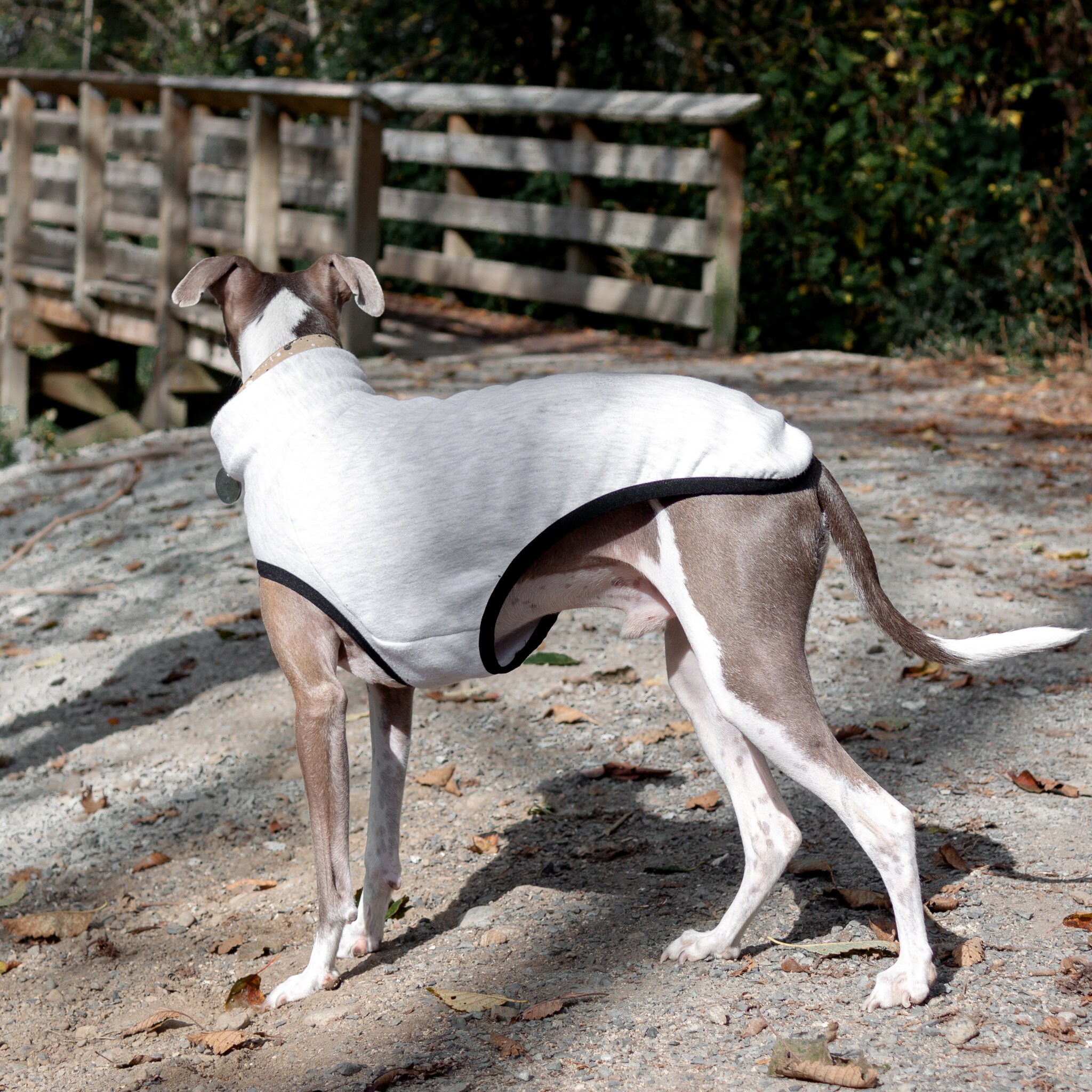 Tracksuit Dog Sweater Sleeveless Light Grey Greyhound | Etsy