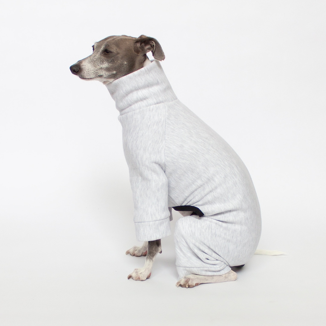 Tracksuit Dog Pajamas - Light Grey | Greyhound, Whippet, Pitbull ...