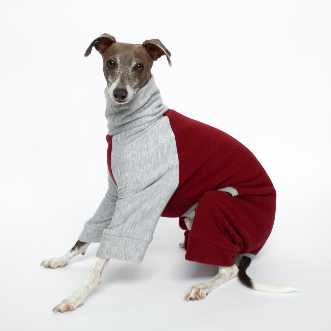 Pyjama Polaire Chien - Coton Bio Rouge & Gris | Lévrier, whippet ...