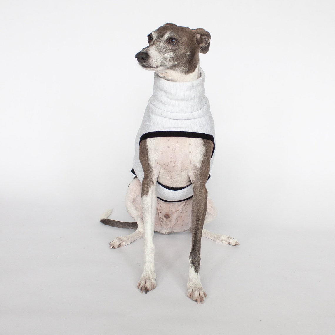Tracksuit Dog Sweater (sleeveless) - Light Grey | Greyhound, Whippet ...