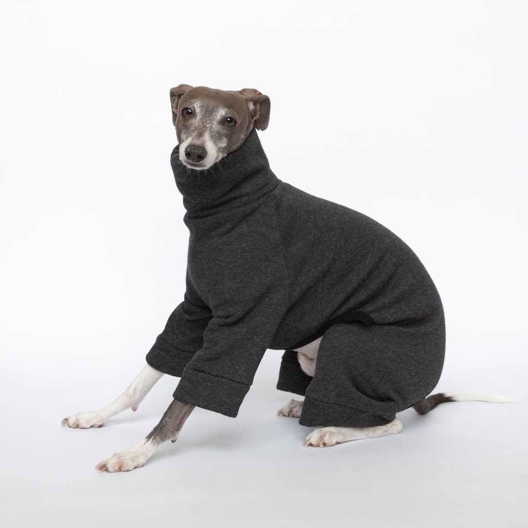 Tracksuit Dog Pajamas - Dark Heathered Grey | Greyhound, Whippet ...