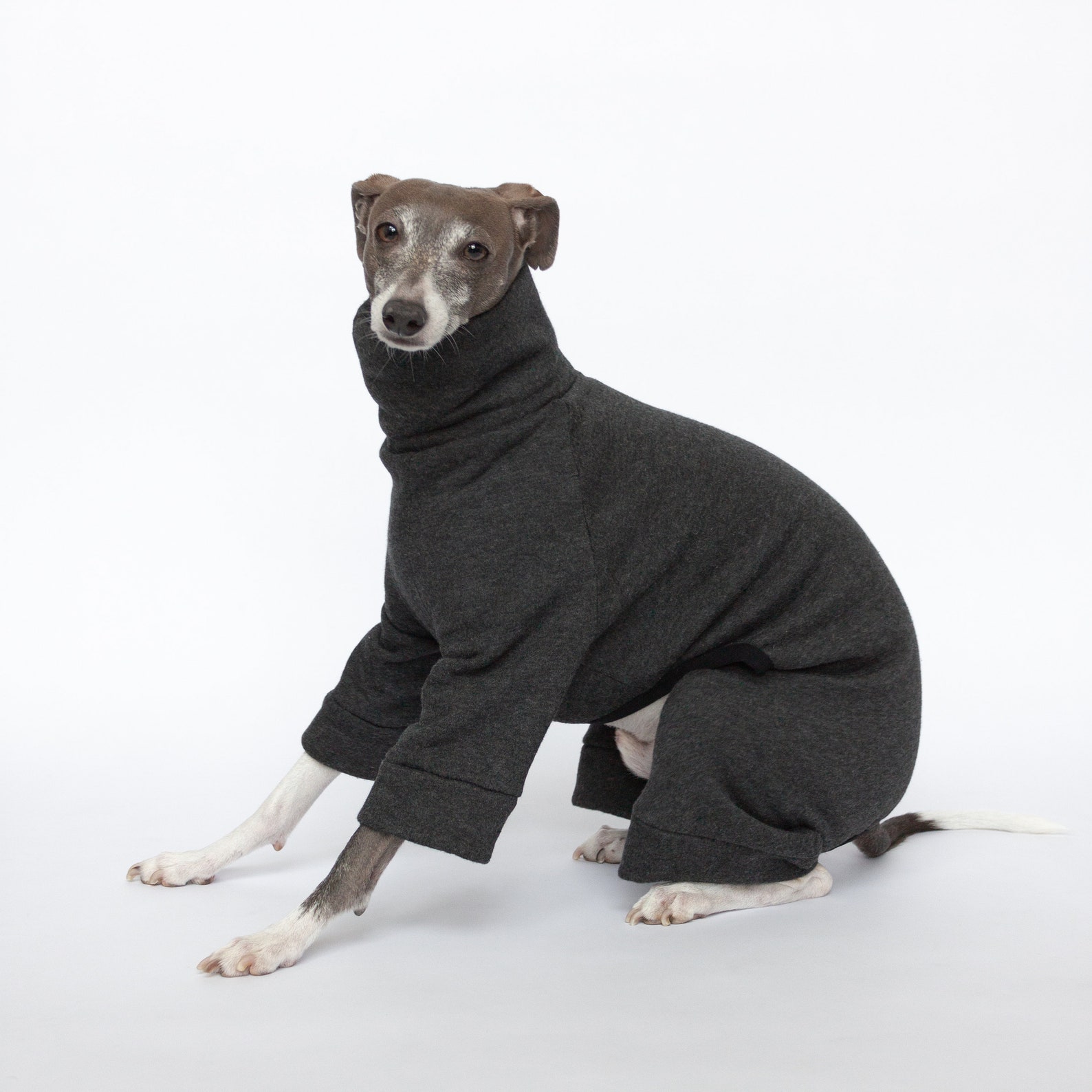 Tracksuit Dog Pajamas Dark Heathered Grey Greyhound | Etsy