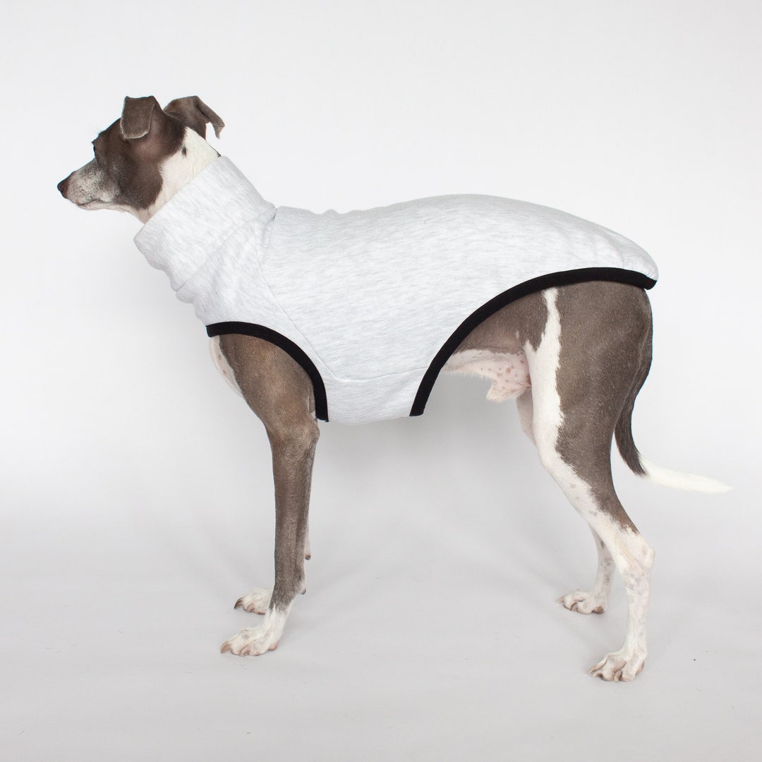 Tracksuit Dog Sweater (sleeveless) - Light Grey | Greyhound, Whippet ...