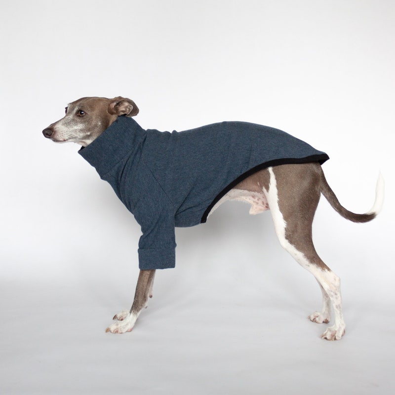Whippet Dog Coat Pattern - Etsy