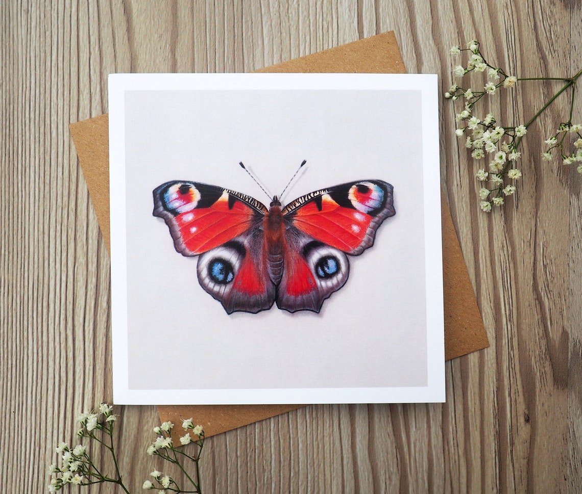 5-pack Butterfly Greeting Card Set - Etsy