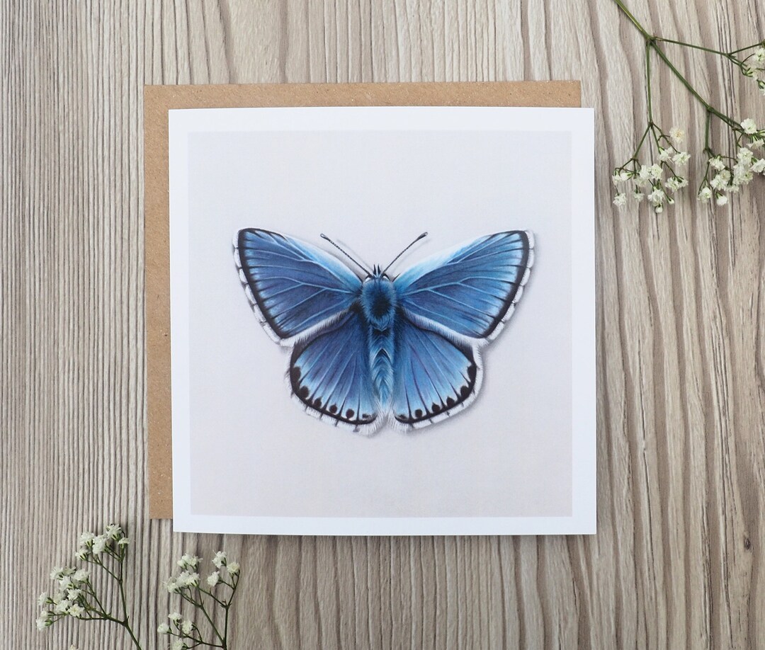 Common Blue Butterfly Greeting Card - Etsy