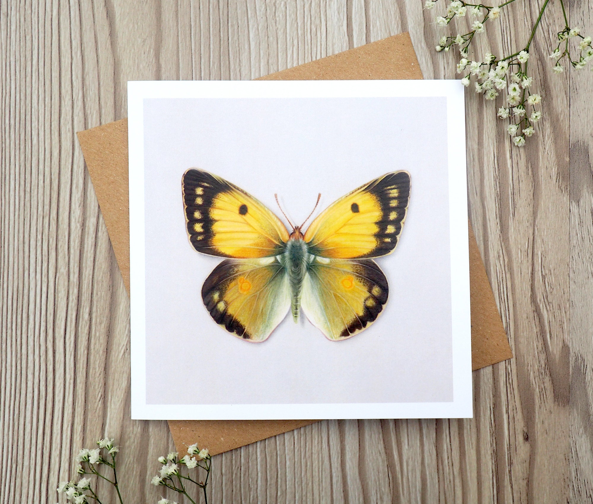 5-pack Butterfly Greeting Card Set - Etsy