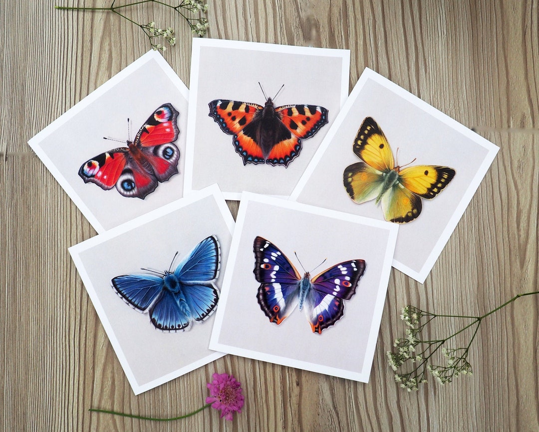 5-pack Butterfly Greeting Card Set - Etsy
