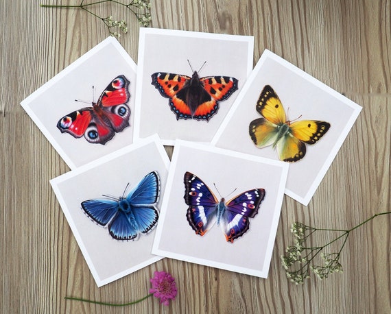 5-pack Butterfly Greeting Card Set | Etsy