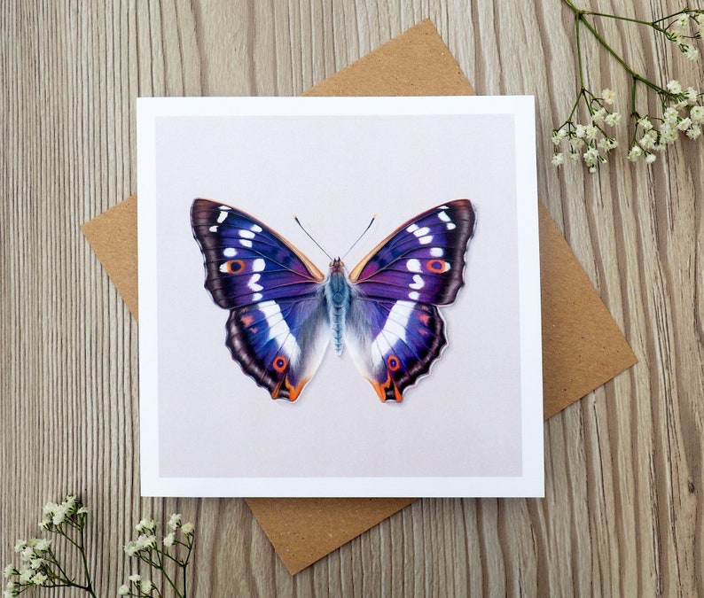 5-pack Butterfly Greeting Card Set - Etsy