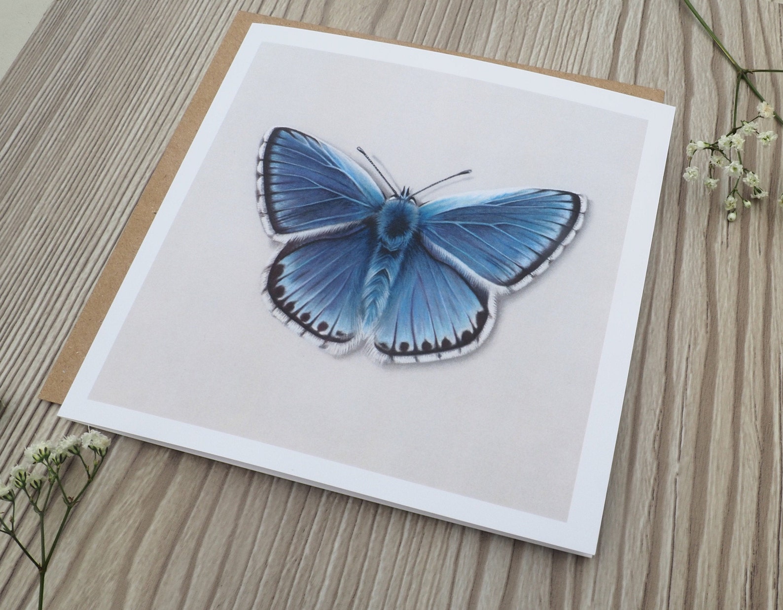 Common Blue Butterfly Greeting Card | Etsy