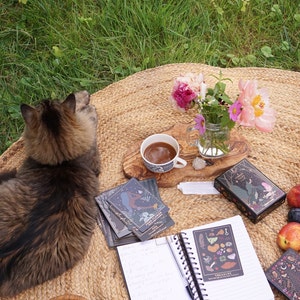 Buy Forest Tales Oracle Deck Moon Witch Series Online in India - Etsy