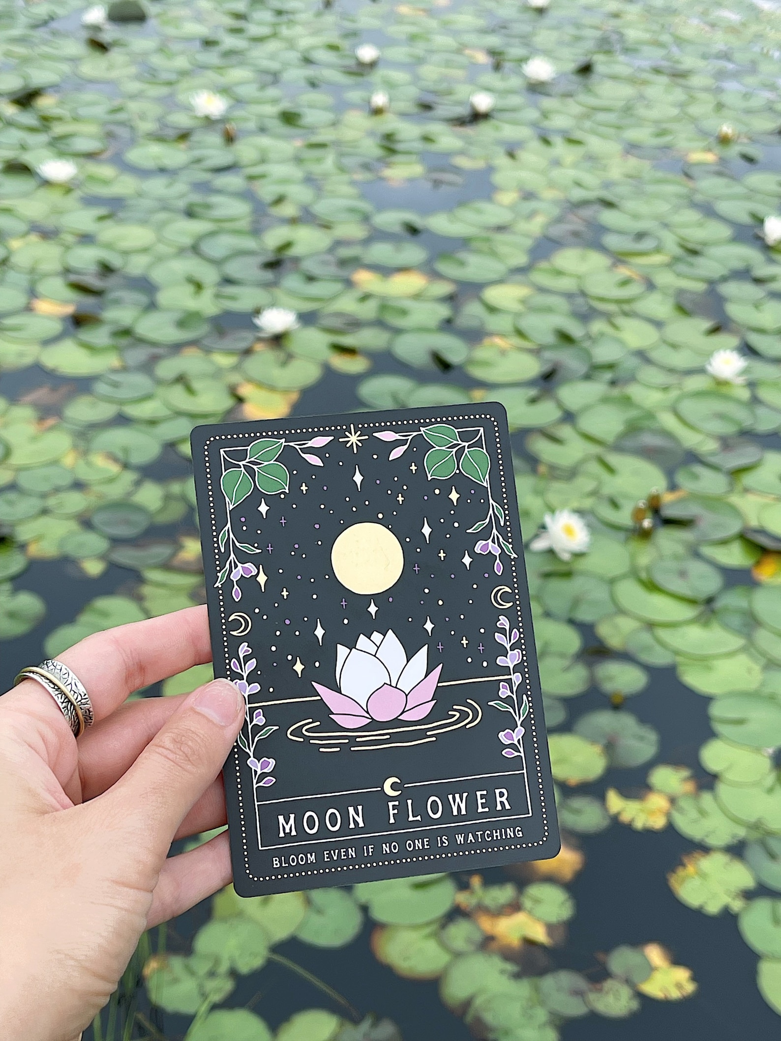 Moon Witch Oracle Deck | Etsy