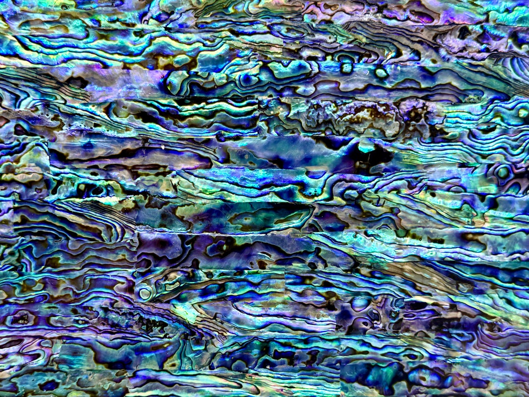 Acrylic-enhanced/enriched Natural New Zealand Abalone Upcycled-shell Sheet, 9 1/2" X 5 1/2 ...