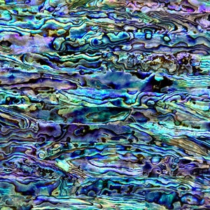 Acrylic-enhanced/enriched Natural New Zealand Abalone Upcycled-shell ...