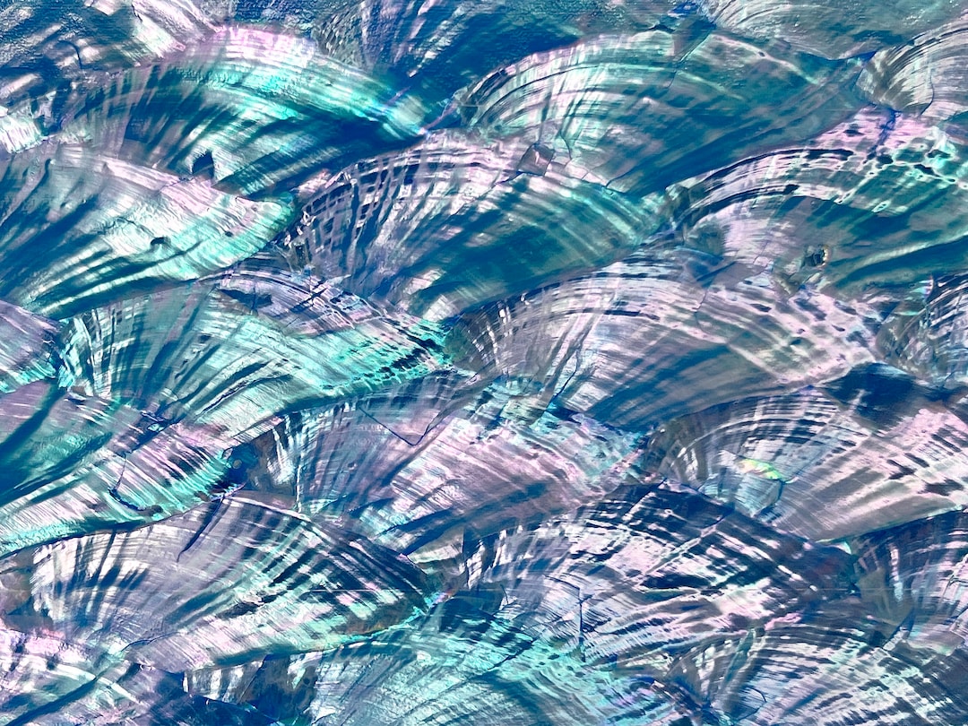 Acrylic-enhanced/enriched Natural Upcycled 1/8" (3.0mm ) Fan Shell ...