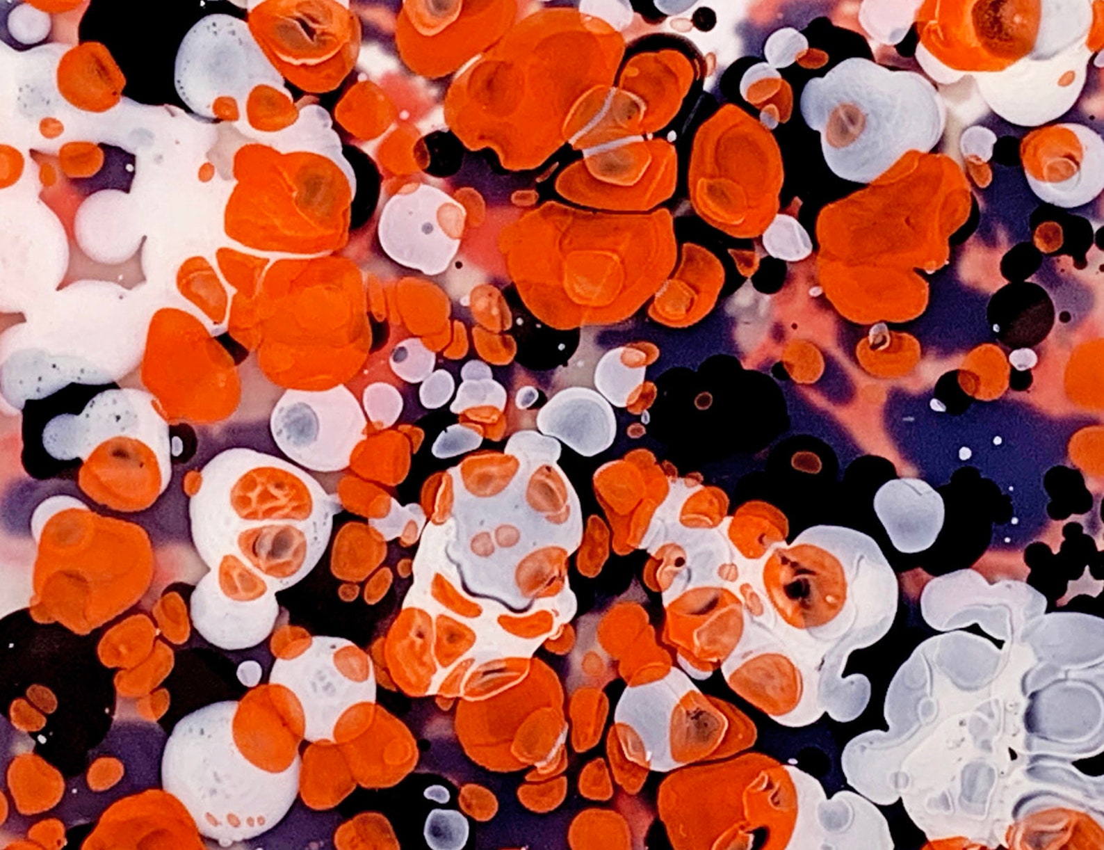 Acrylic PMMA Multi-colors Bubble Sheet 3.0mm Thickness | Etsy