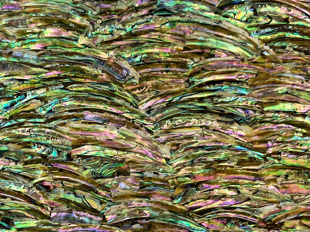 Acrylic-enhanced/enriched Natural Upcycled Sickle Shell Sheets, 9 1/2 ...