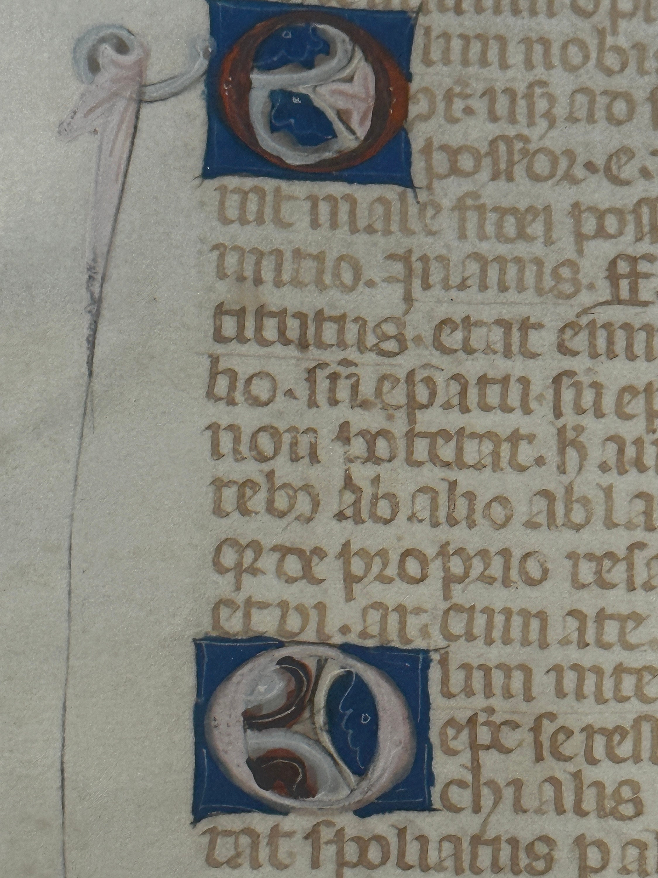 13th Century Illuminated Medieval Law Manuscript on Vellum ORIGINAL - Etsy