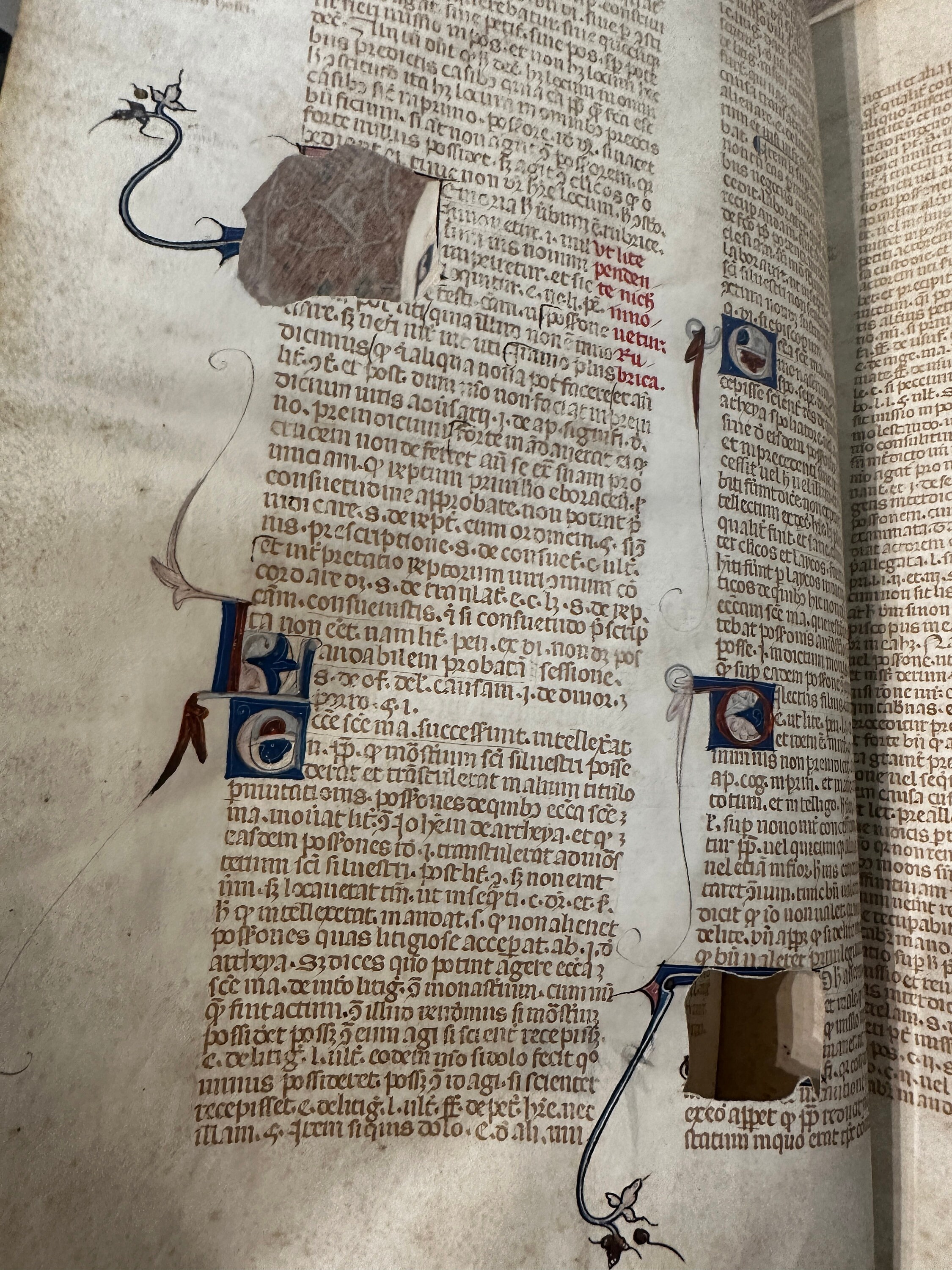 13th Century Illuminated Medieval Law Manuscript on Vellum ORIGINAL - Etsy