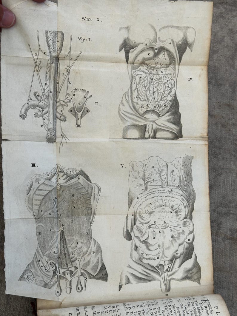 1757: Rare Anatomy Book - Etsy