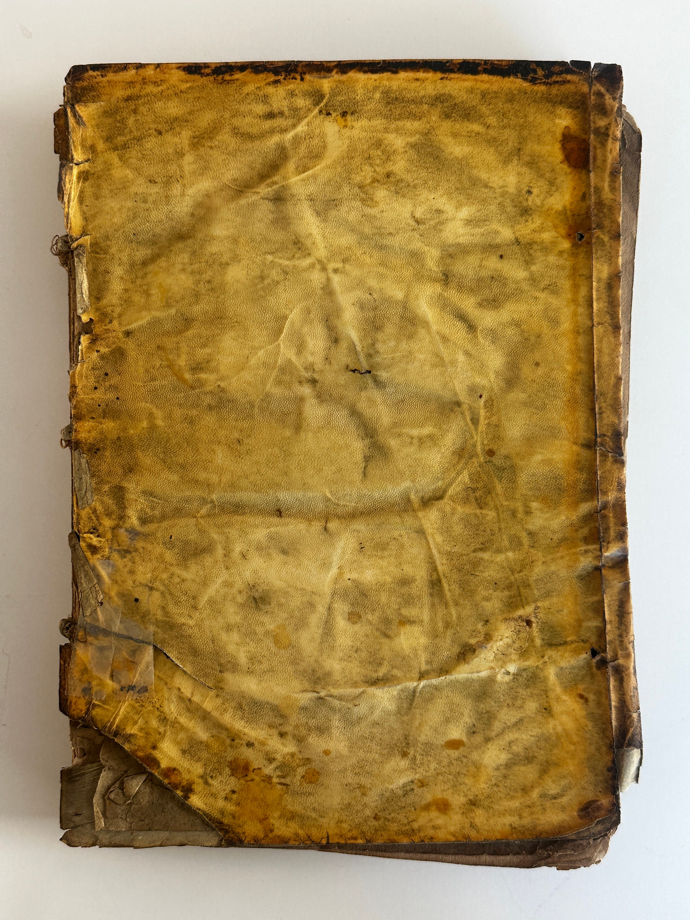 1553: Famous Medal Book of the Renaissance - Etsy