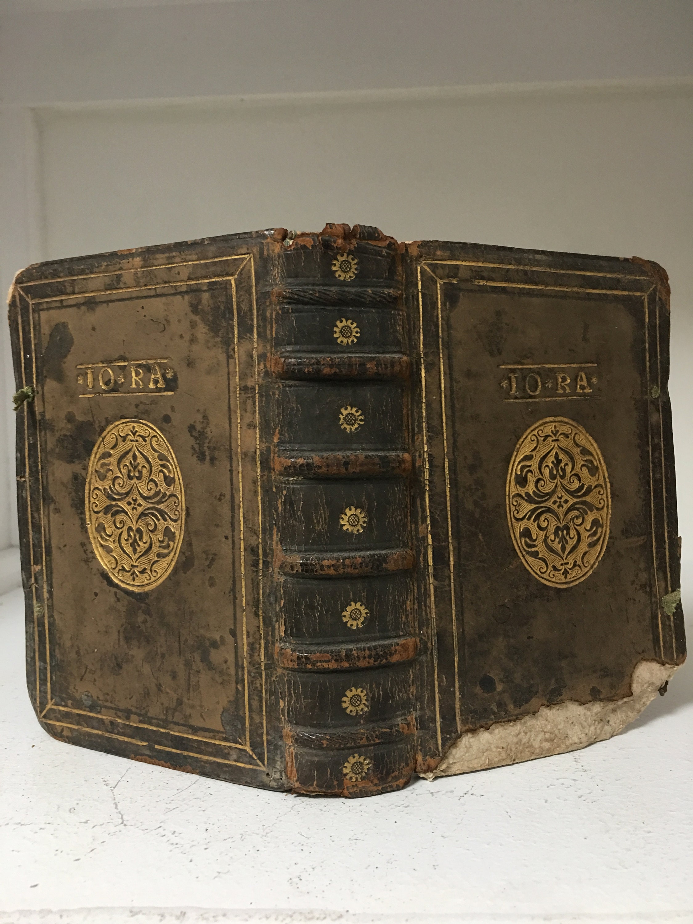 15 Top renaissance art book pdf You Can Use It At No Cost - ArtXPaint ...