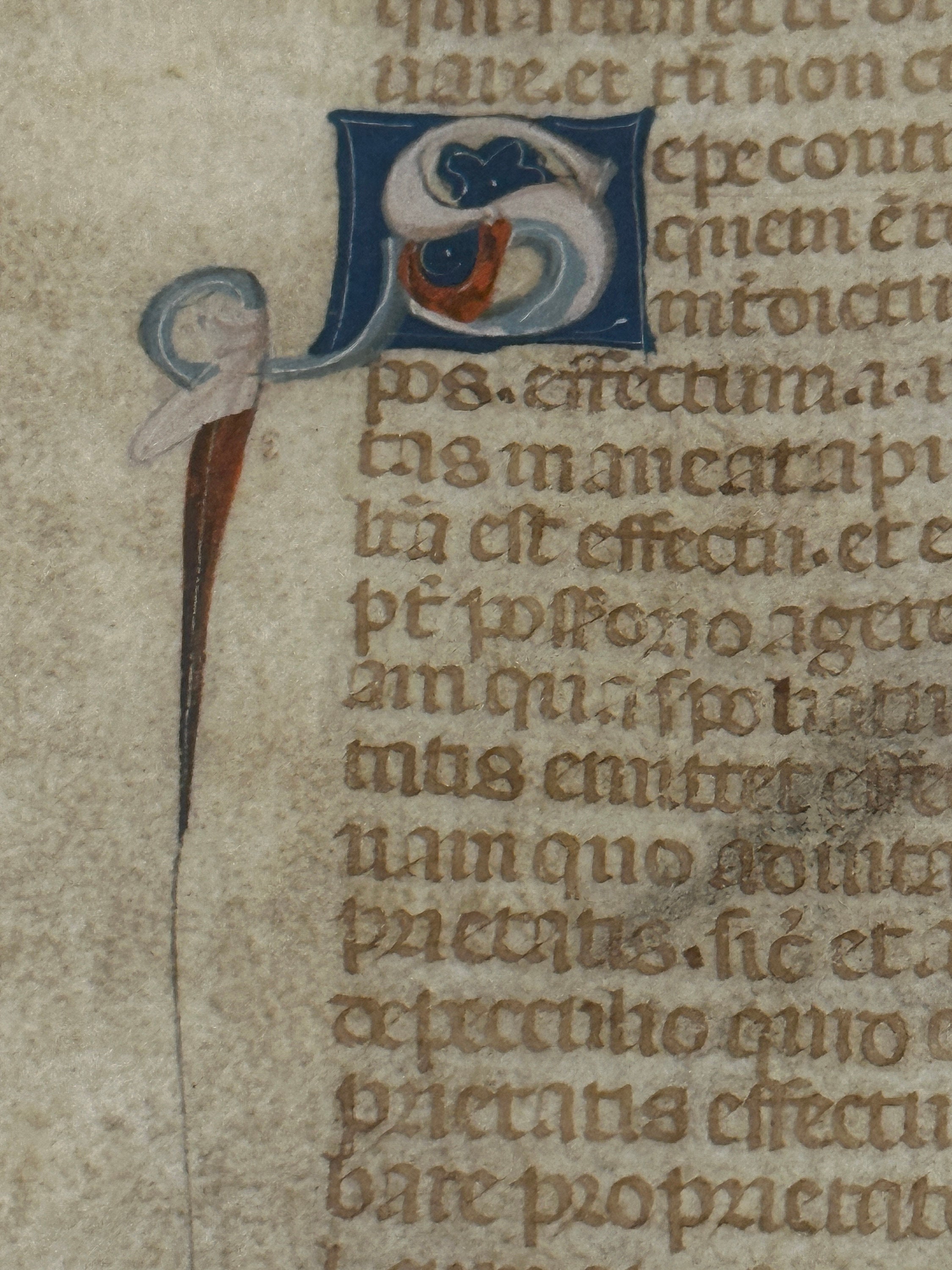 13th Century Illuminated Medieval Law Manuscript on Vellum ORIGINAL - Etsy