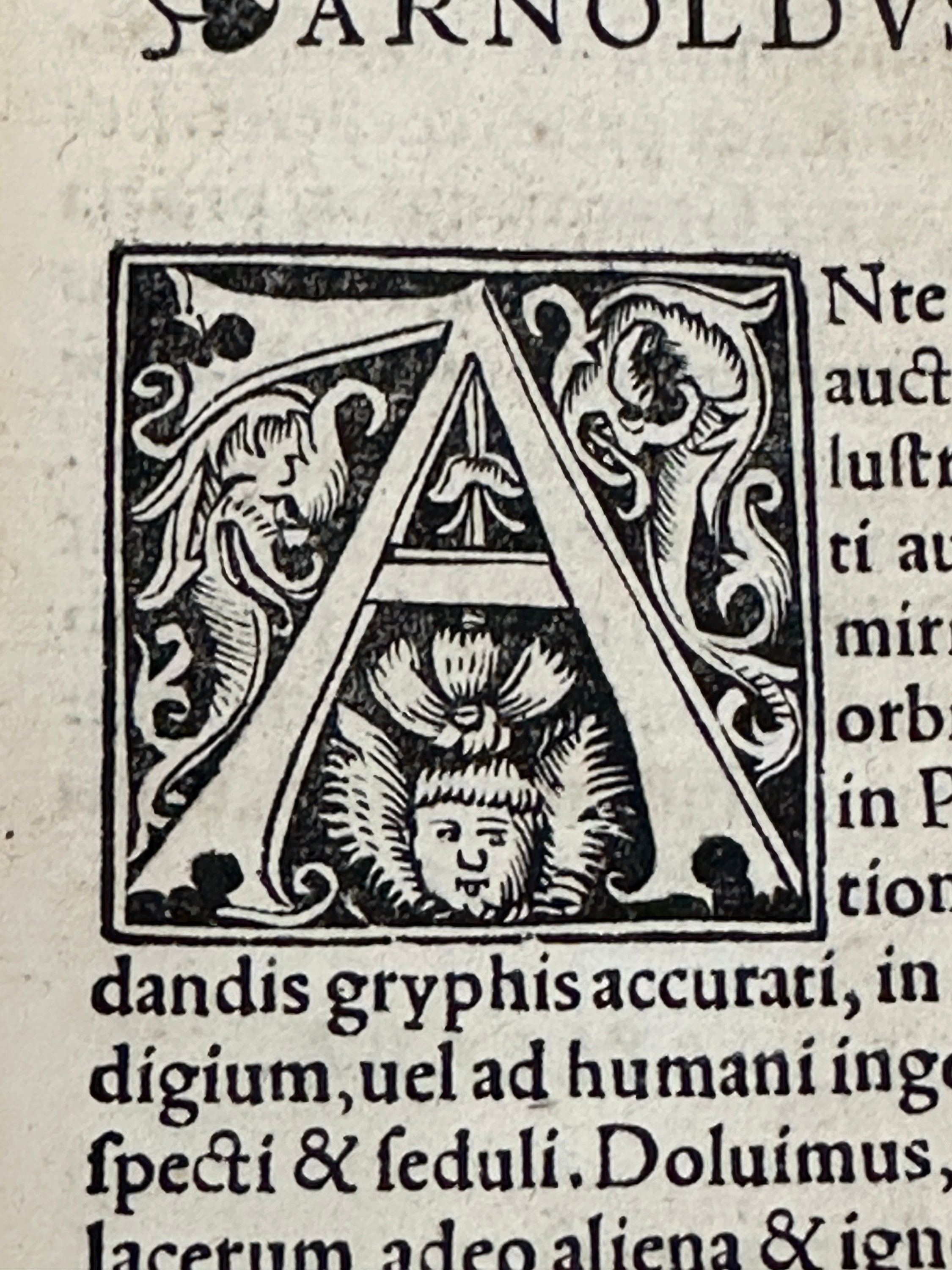 Famous 1526 Work of the Renaissance With a World Map Macrobius - Etsy