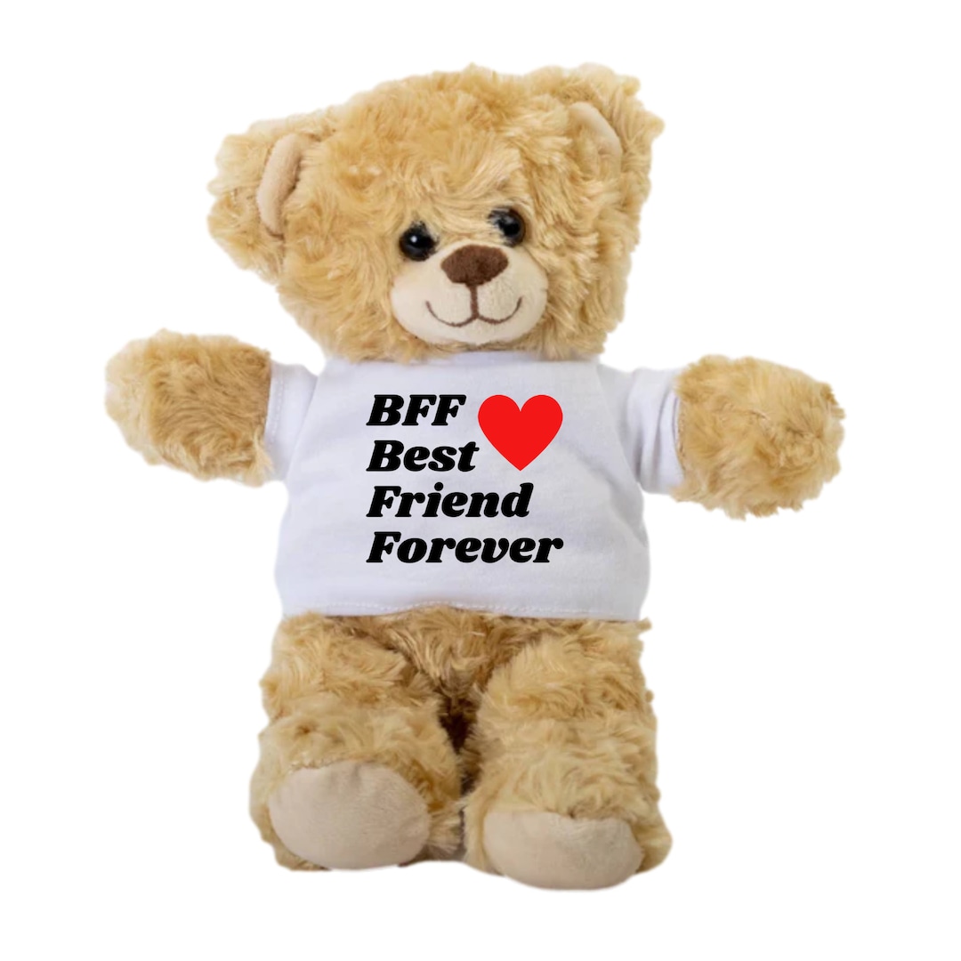 Best Friend Gift, BFF Gifts, BFF Best Friend Forever Teddy Bear, Bestie ...