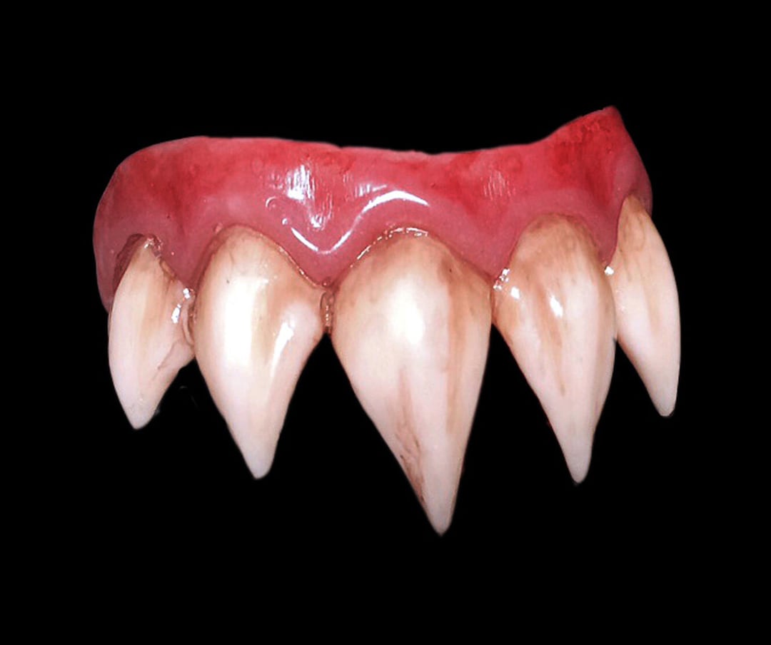 Petyr Fangs From What We Do in the Shadows Designed for and Worn by ...