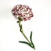 Statement Elegant Gold-tone Realistic Pink & White Enamel Carnation ...