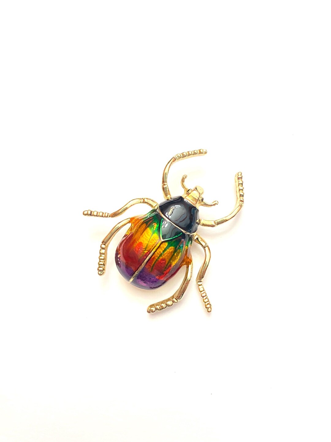 Colorful Rainbow Insect Brooch Lapel Pin Jewelry Bug Lover Gift Symbol ...