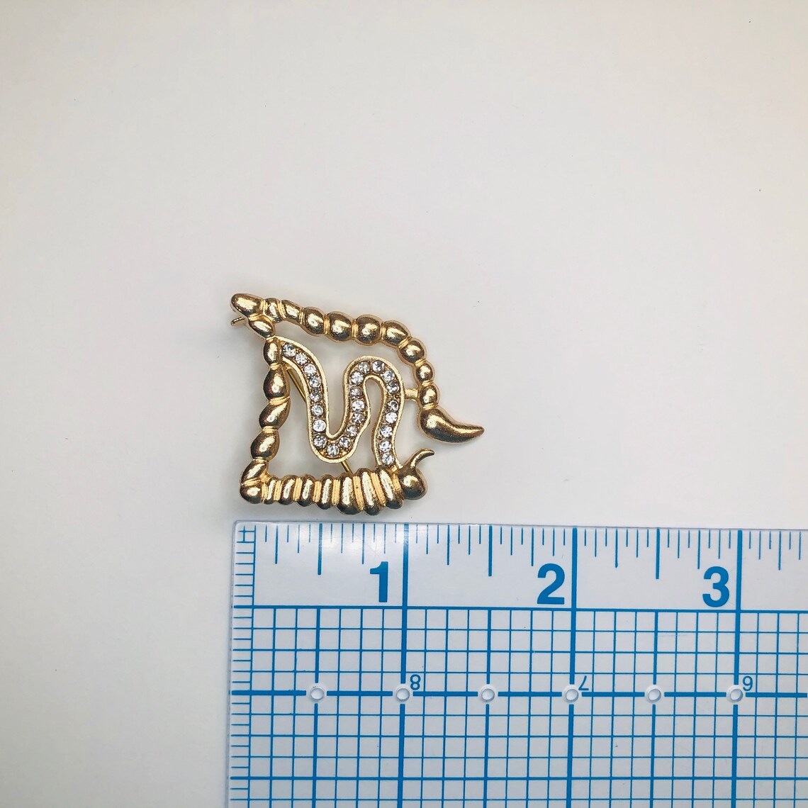 Gold-tone Colon Intestines Gastroenterology Human Body Medical Doctor ...