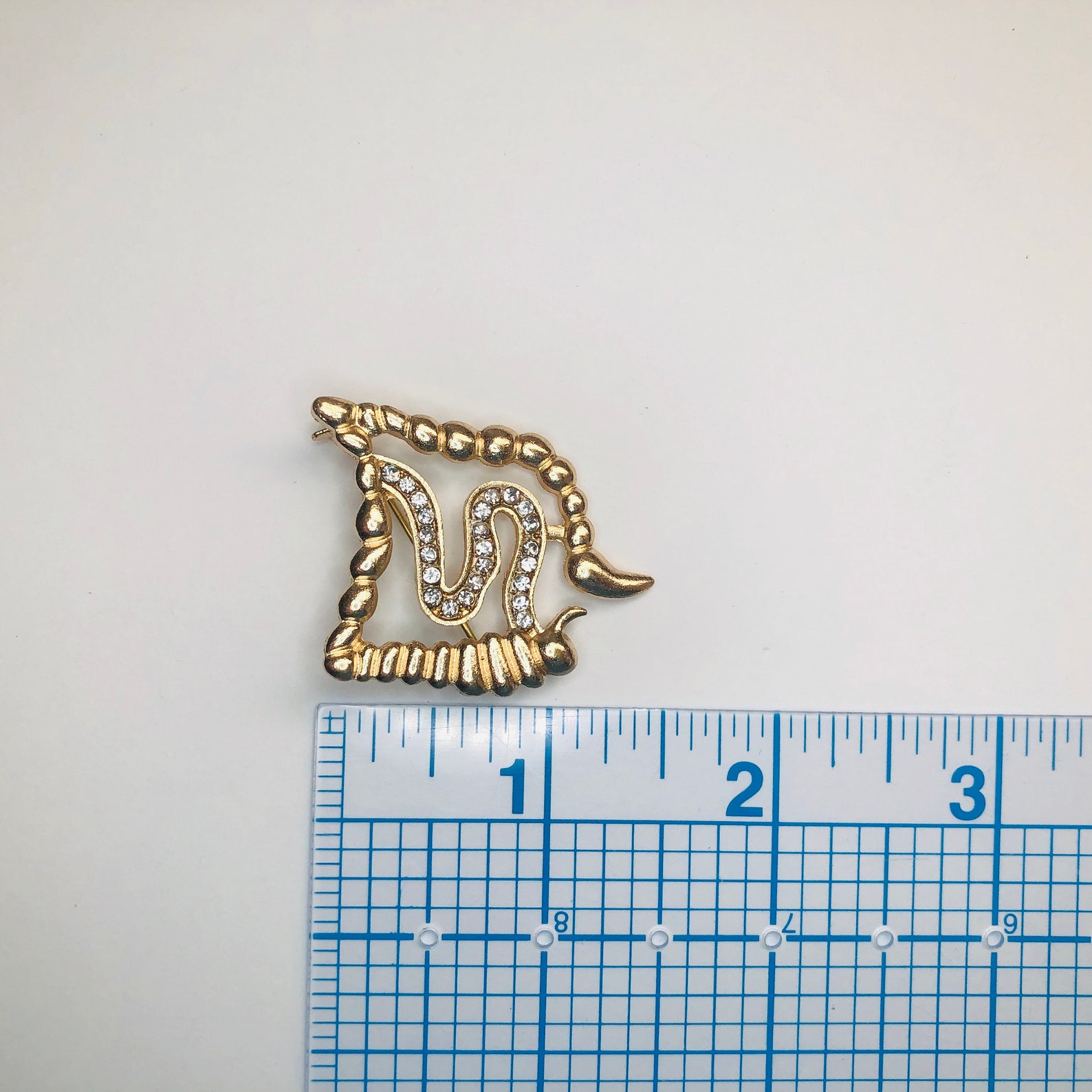 Gold-tone Colon Intestines Gastroenterology Human Body Medical Doctor ...