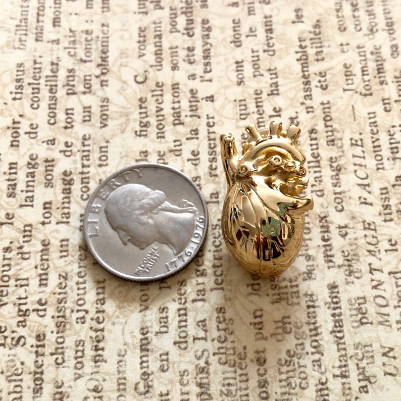 Human Heart Doctor Medical Cardiologist Surgeon Science Brooch - Etsy