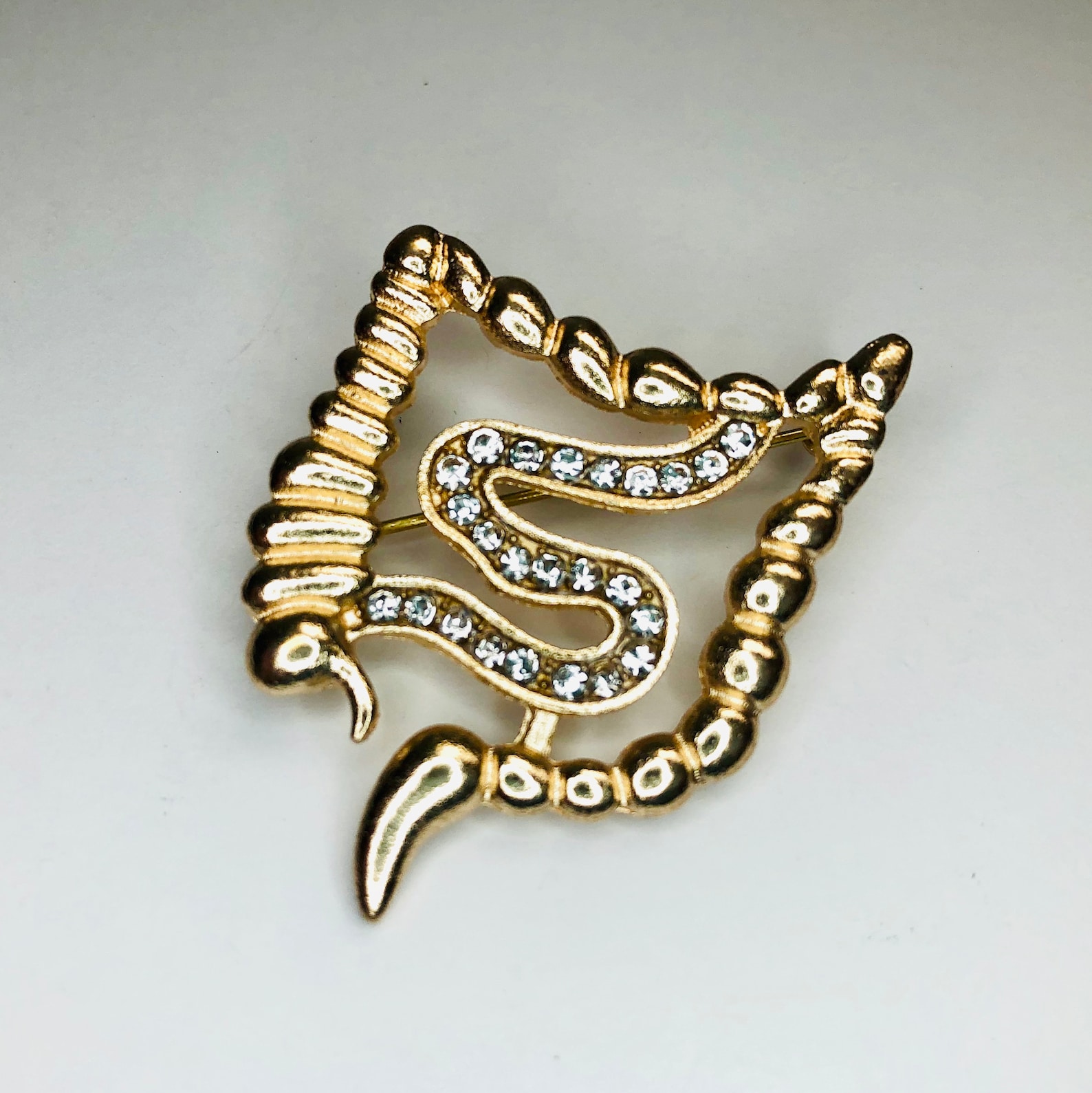 Gold-tone Colon Intestines Gastroenterology Human Body Medical Doctor ...