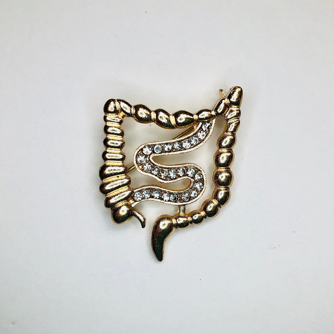 Gold-tone Colon Intestines Gastroenterology Human Body Medical Doctor ...