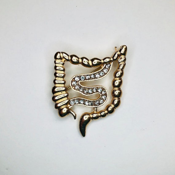 Gold-tone Colon Intestines Gastroenterology Human Body Medical | Etsy