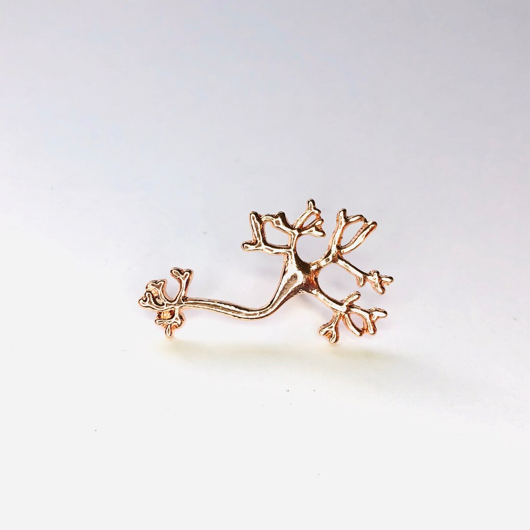 Rose Gold-tone Human Neuron Brain Chemistry Doctor Medical Science ...