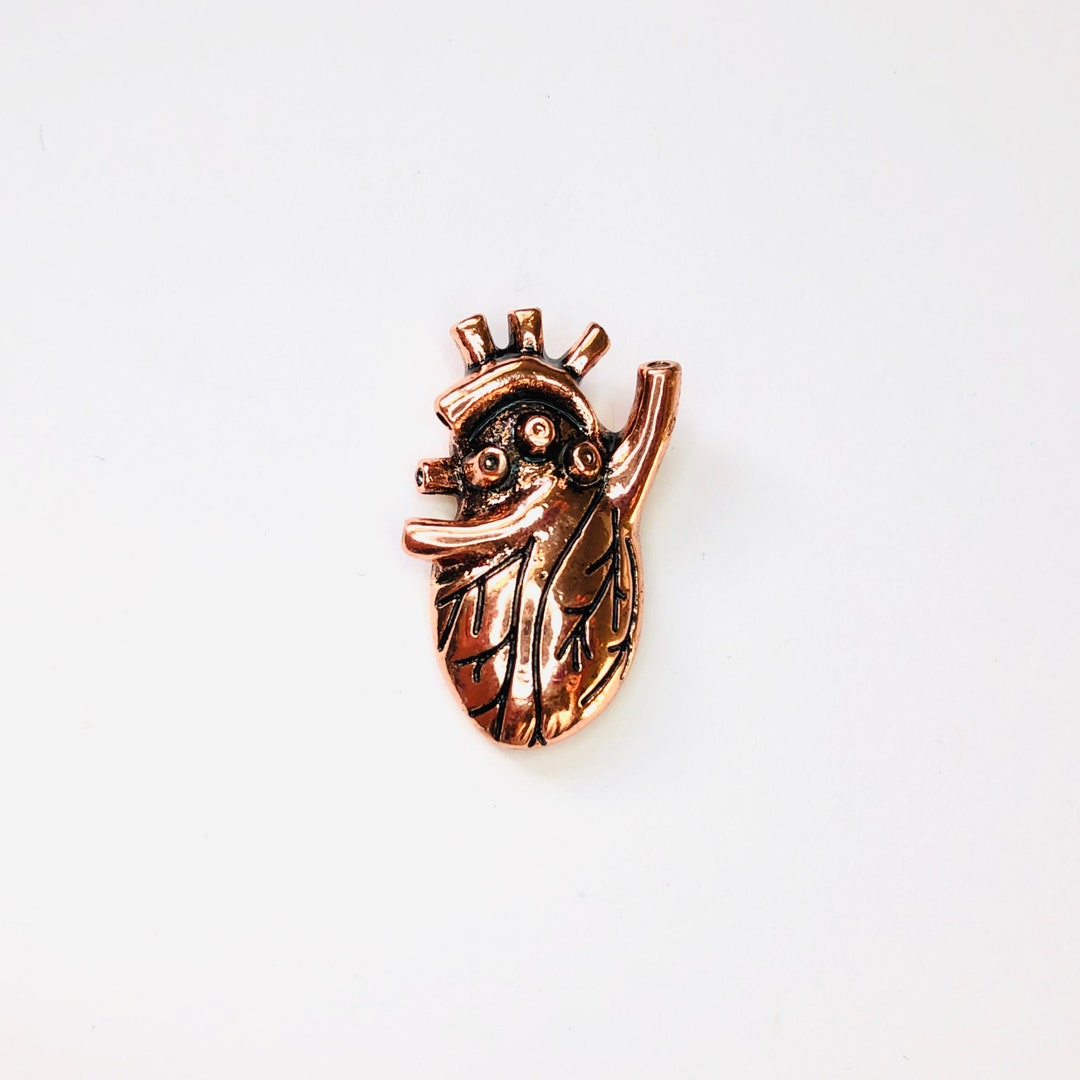 Copper-tone Human Heart Anatomy Doctor Medical Science Teacher Brooch ...