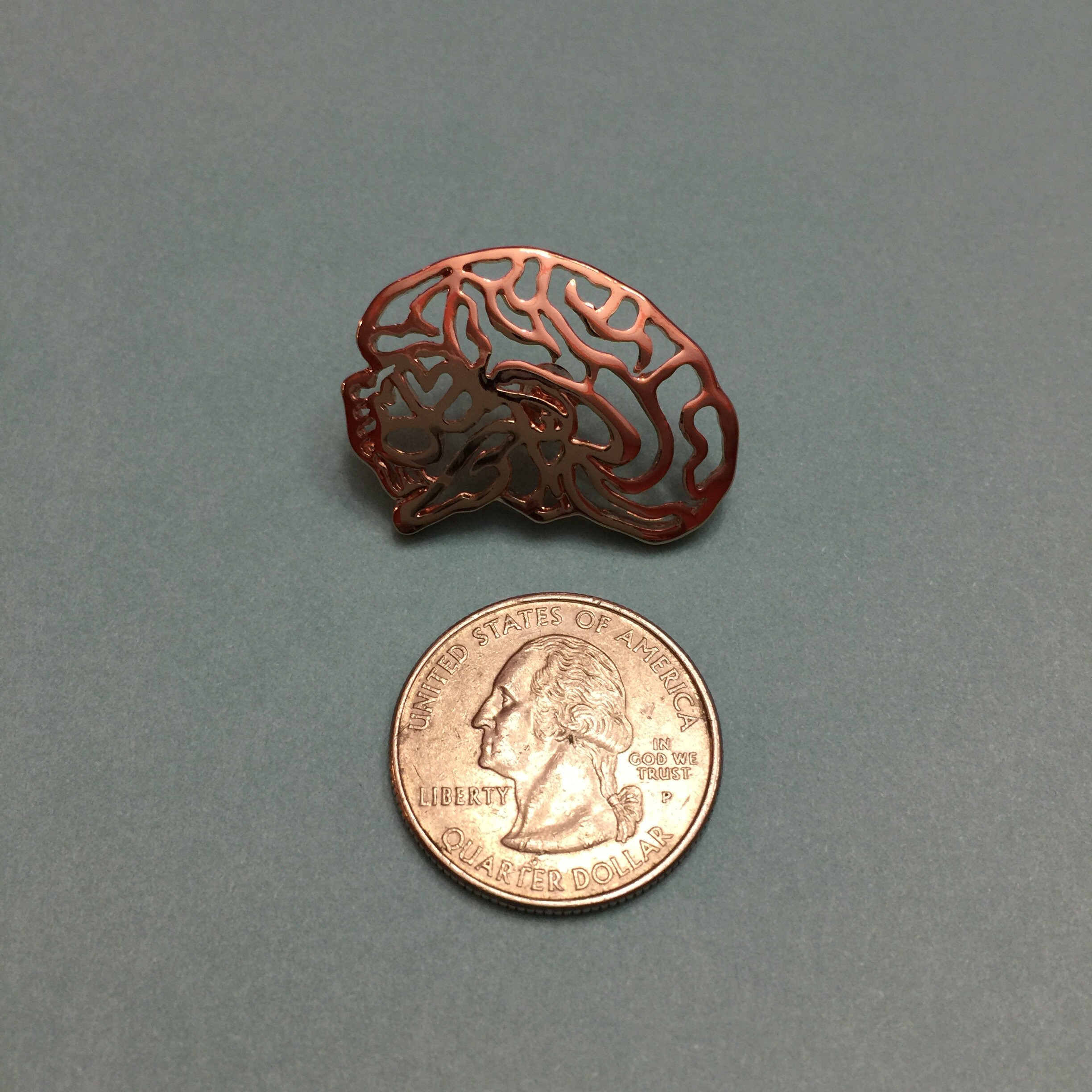 Human Brain Doctor Medical Science Brooch Lapel Pin Jewelry Medical ...