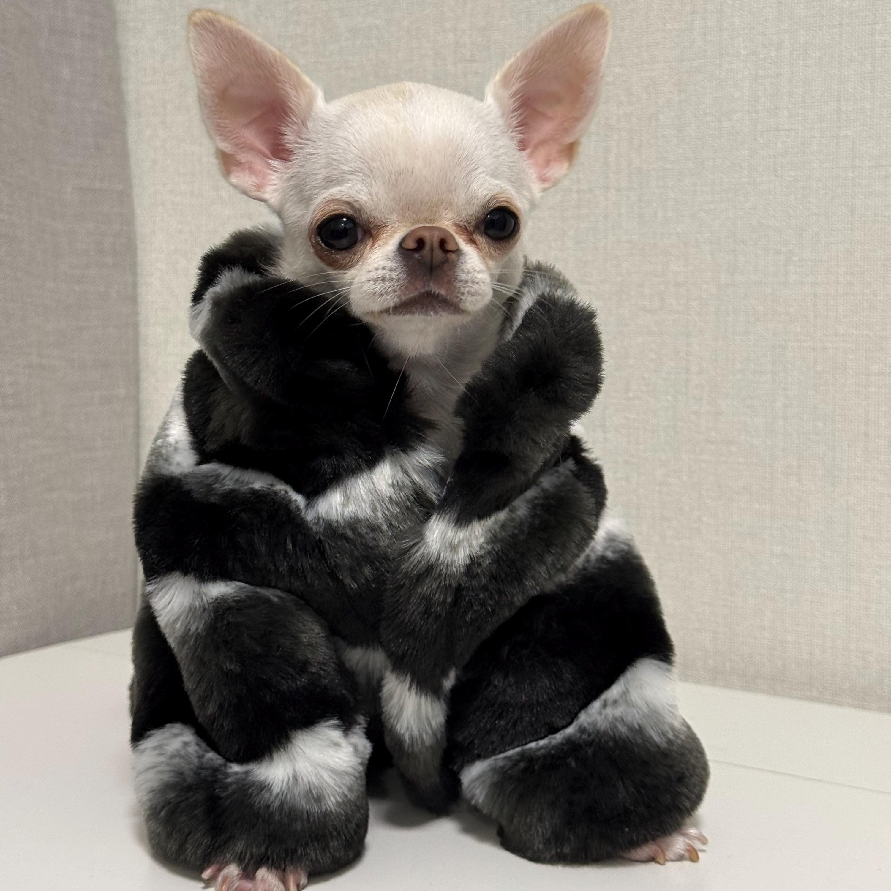 Small Dog Coat Faux Fur Chinchilla Warm Winter Jacket for Yorkie ...
