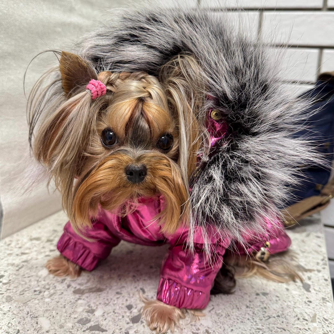 Small Dog Coat Shiny Hot Pink - Etsy